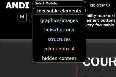 ANDI not properly analyzing content · Issue #58 · SSAgov/ANDI · GitHub