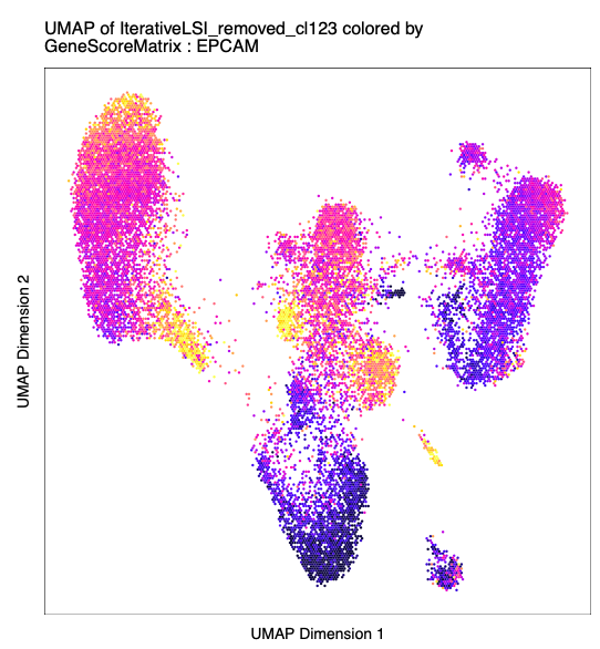 normalization of gene activity · Issue #110 · GreenleafLab/ArchR · GitHub