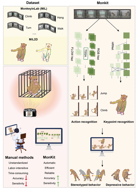 GitHub - BCNC-fudan/MonKit
