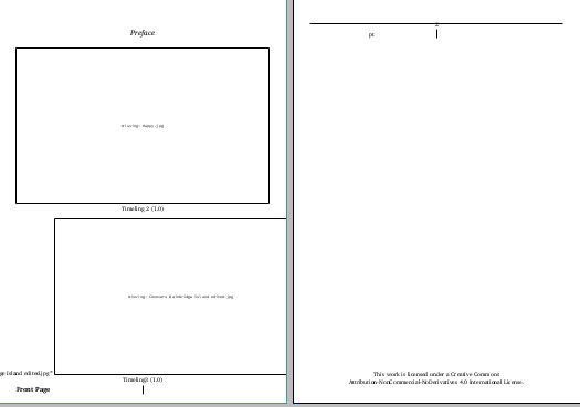 Unknown error printing FRT that passes basic checks · Issue #436 · sillsdev/ptx2pdf · GitHub
