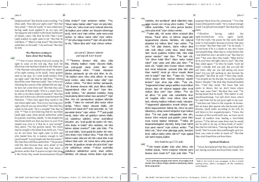 Strange diglot (alignment/layout) issue · Issue #721 · sillsdev/ptx2pdf · GitHub