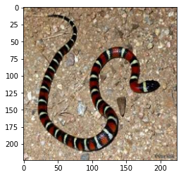 GitHub - magureen/pytorch-cnn-visualization: Easy-to-use visualization ...