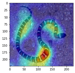 GitHub - magureen/pytorch-cnn-visualization: Easy-to-use visualization ...