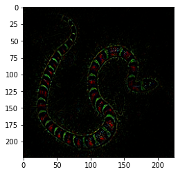 GitHub - magureen/pytorch-cnn-visualization: Easy-to-use visualization ...