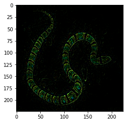 GitHub - magureen/pytorch-cnn-visualization: Easy-to-use visualization ...