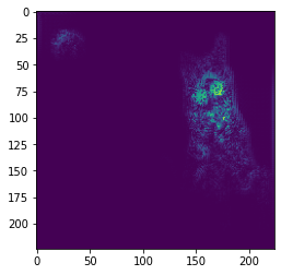 GitHub - magureen/pytorch-cnn-visualization: Easy-to-use visualization library for Grad-CAM ...