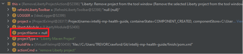 Project name is null when manually removing a project from the Liberty ...