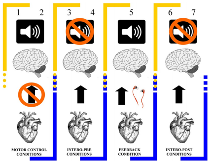 Interoception/README.md at master · MatiasFraile/Interoception · GitHub