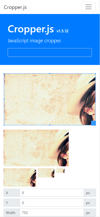 Preview gets bigger on every orientation change in responsive mode · Issue #907 · fengyuanchen ...