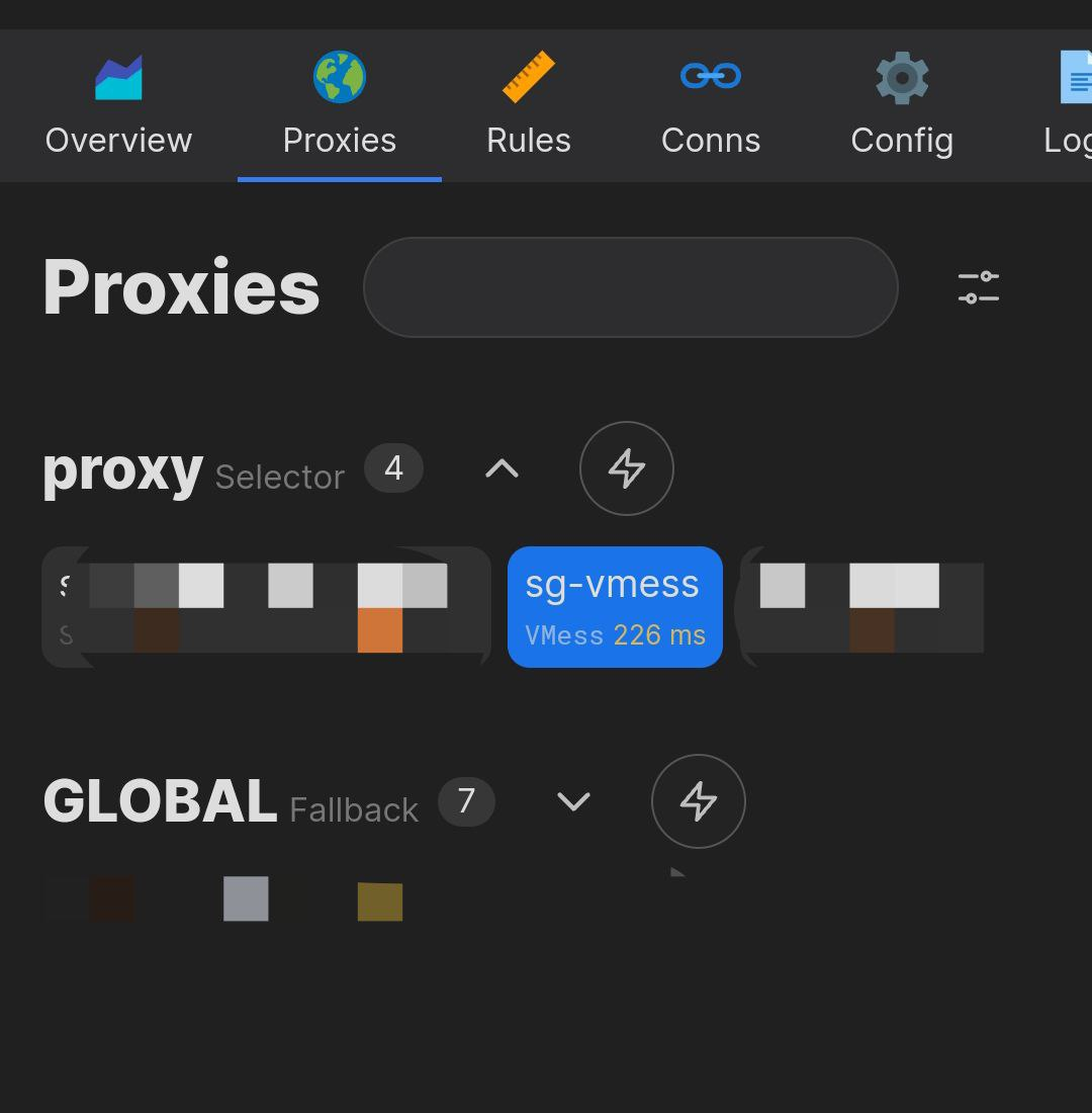 （已补充）客户端 VMess WS 无 TLS 下，earlydata 0-RTT 不生效 · Issue #169 · SagerNet/sing-box · GitHub