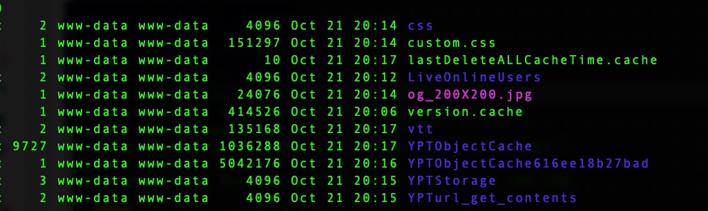 Problem with clearing cache · Issue #5849 · WWBN/AVideo · GitHub