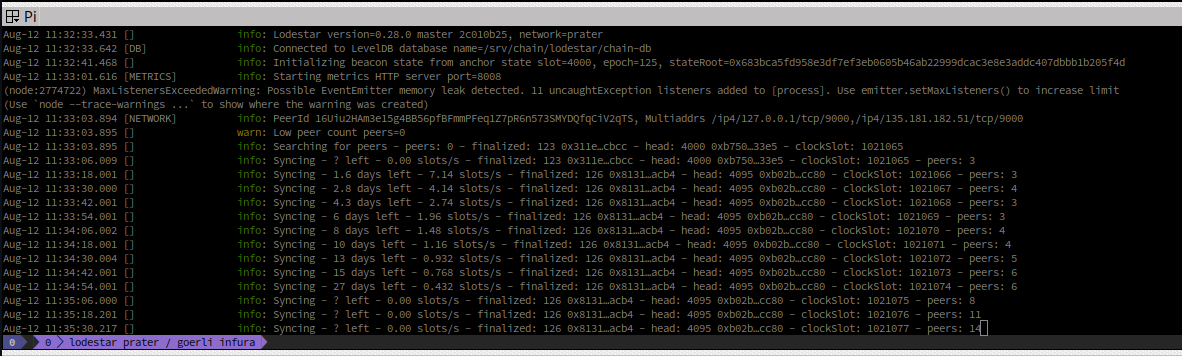 beaconchain sync stuck on mainnet, pyrmont, and prater · Issue #2949 · ChainSafe/lodestar · GitHub