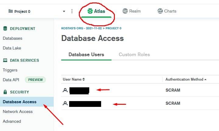 Realm cluster and authentication · Issue #256 · mongo-dart/mongo_dart · GitHub