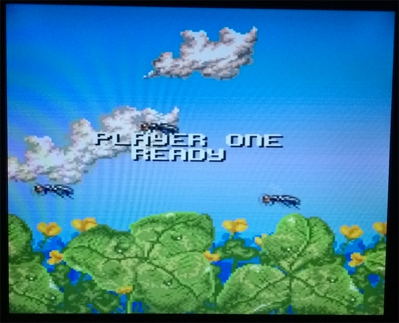 Apidya Auto Crop problem with Amiberry version (2022-03-26) · Issue ...