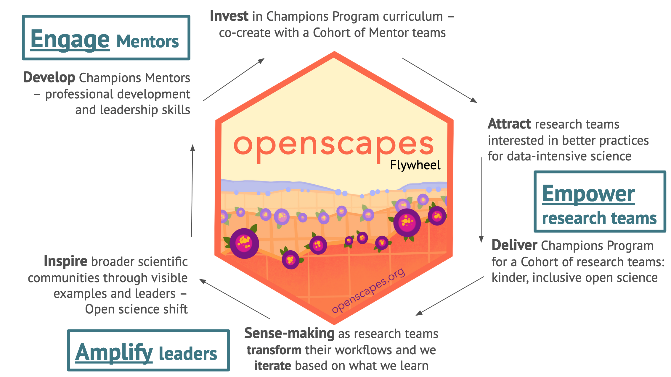 Update flywheel: sense-making · Issue #138 · Openscapes/how_we_work · GitHub