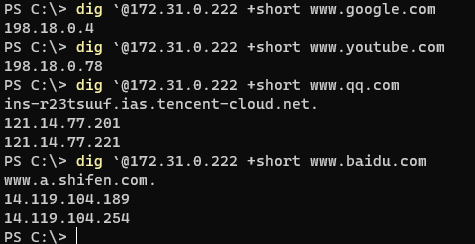 [Feature] clash fake ip 模式下，怎么通过特殊手获取真实ip · Issue #3211 · vernesong ...