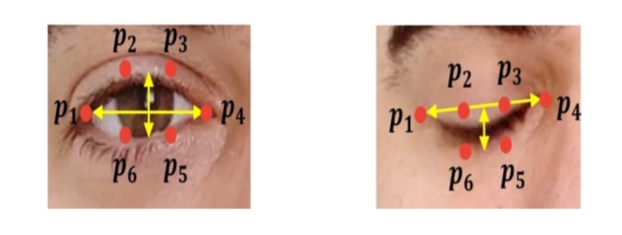 GitHub - navyabhatia/Eye-Blink-Detection: This project focuses on ...