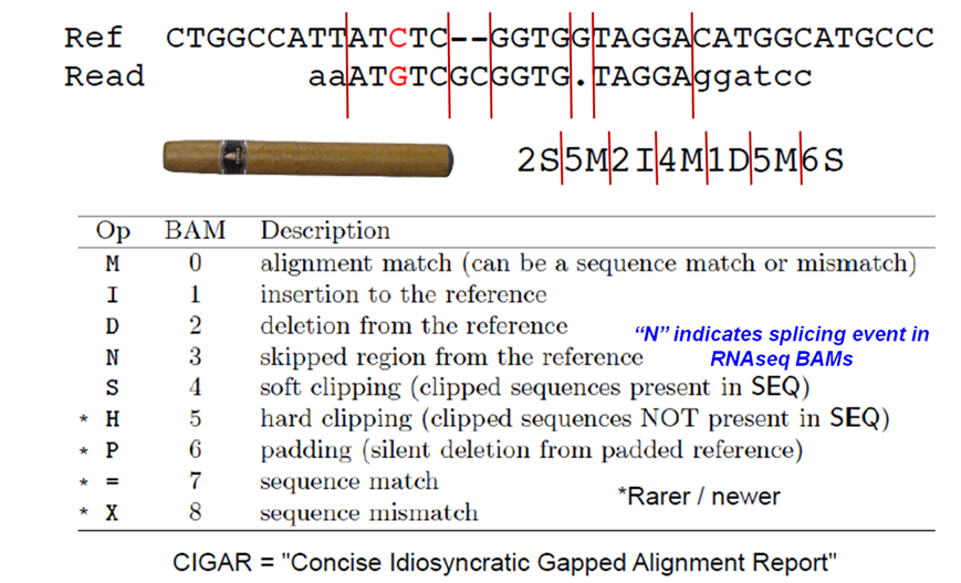 GitHub - chris-kreitzer/MSKCC
