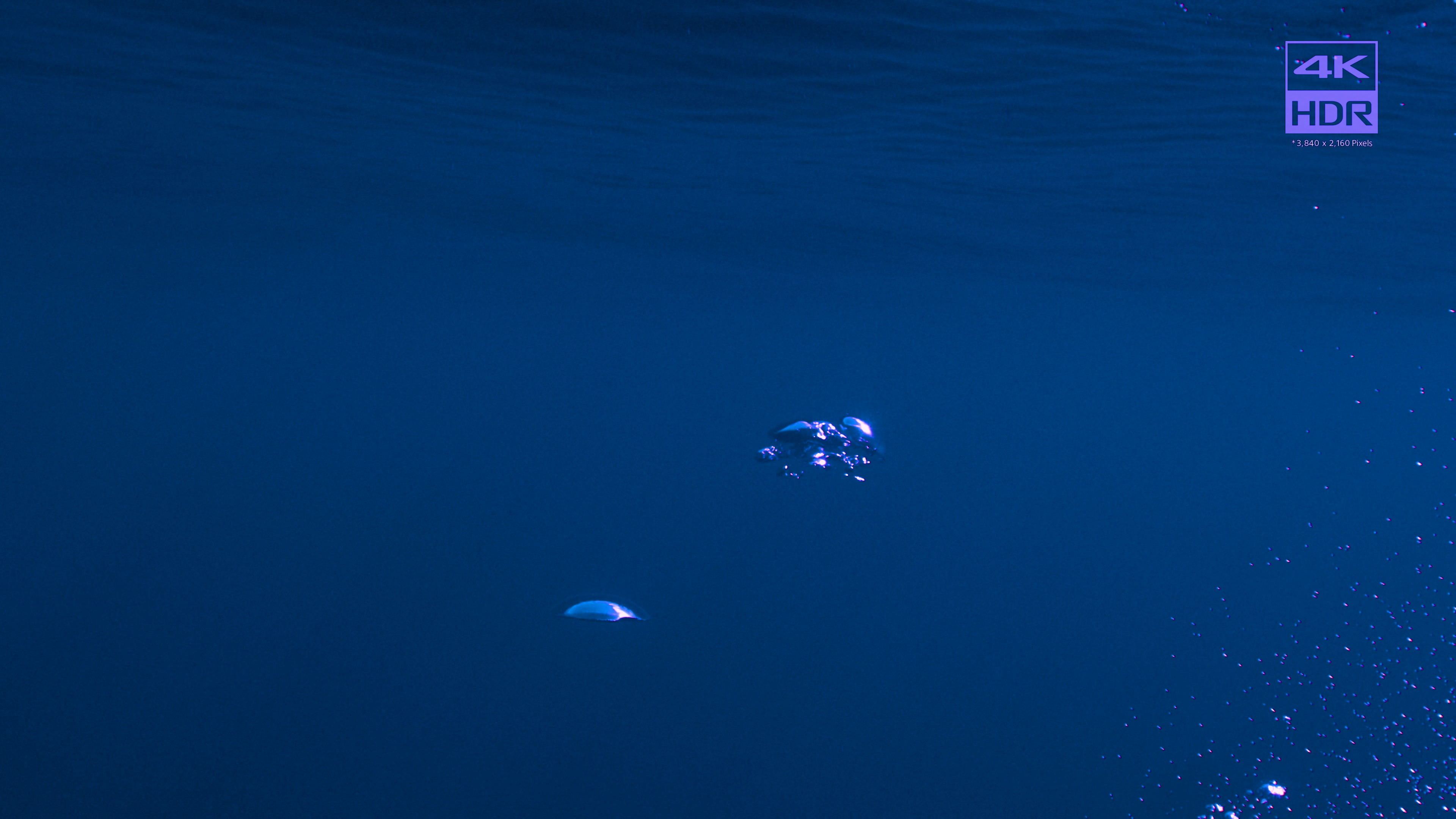 gpu-next: new gamut mapping is too strong · Issue #11599 · mpv-player/mpv · GitHub