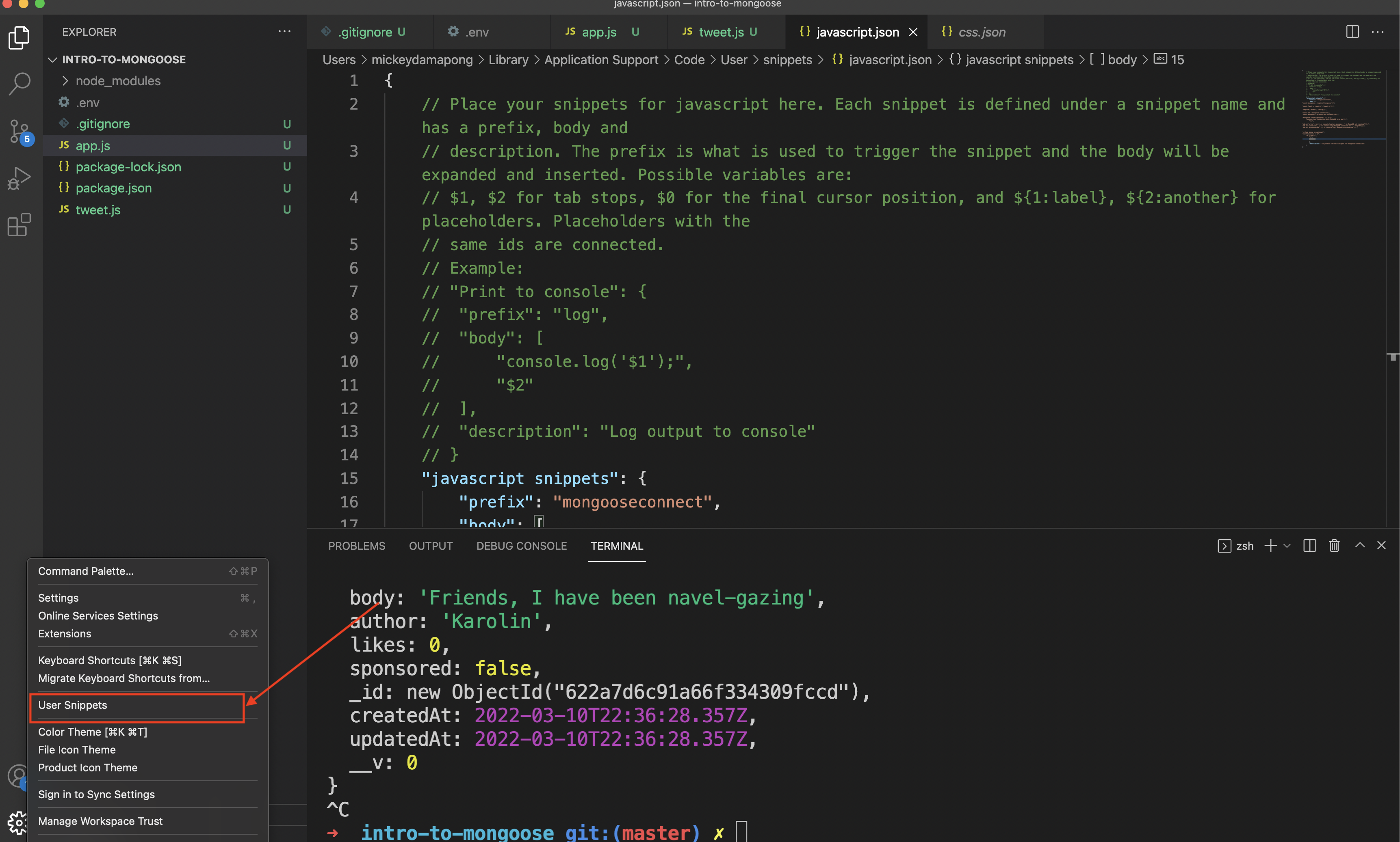 GitHub - mdamapong/mongooes-boilerplate