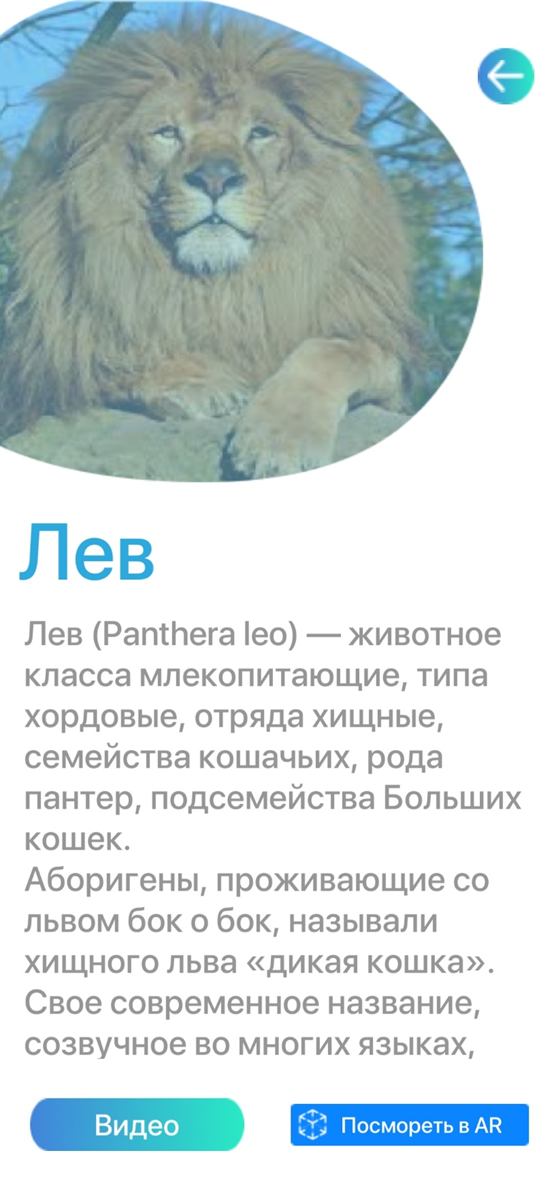 GitHub - Dimalipay/Animal_AR