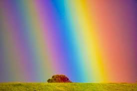 GitHub - Mikamolimo/Legendary-Rainbow-Mod