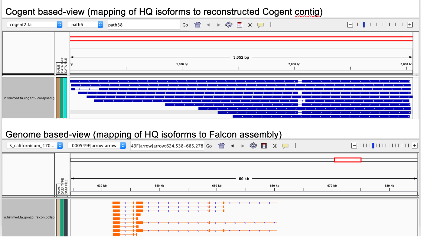 Is it possible to get AS events by Cogent? · Issue #2 · Magdoll/Cogent · GitHub