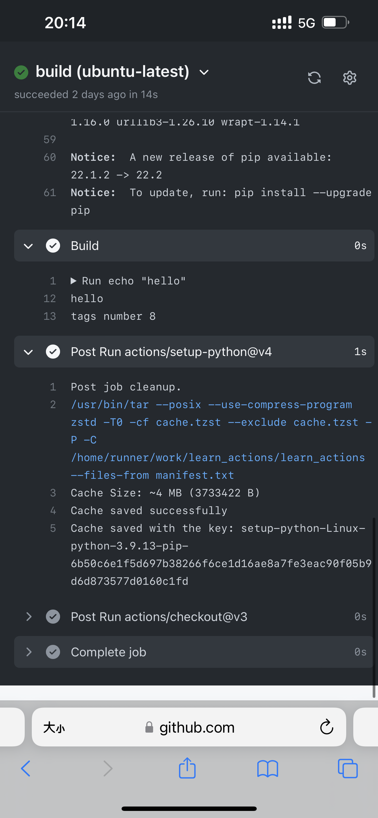 May I ask why? pip cache is not found · Issue #470 · actions/setup ...