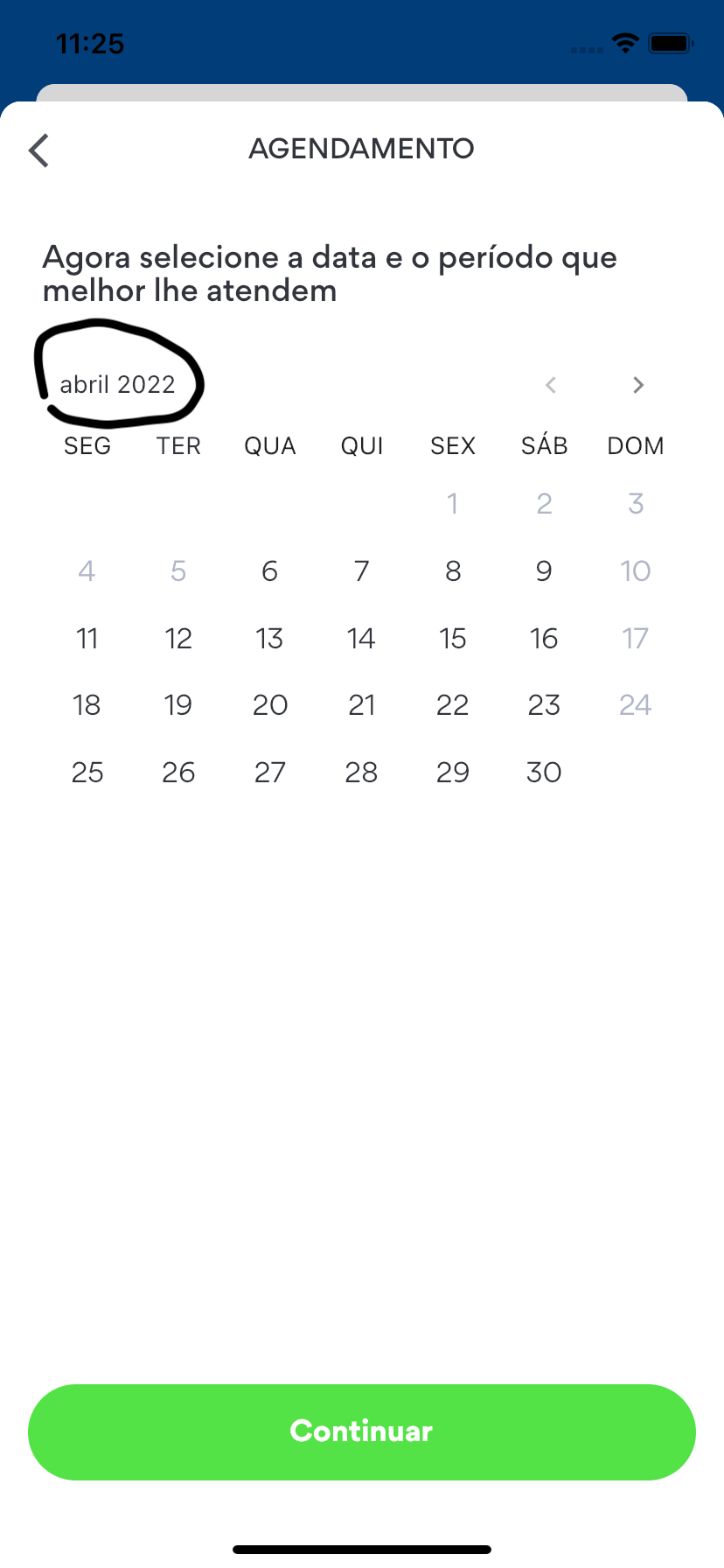 Month lowcase on change language for pt-BR · Issue #589 · syncfusion/flutter-examples · GitHub