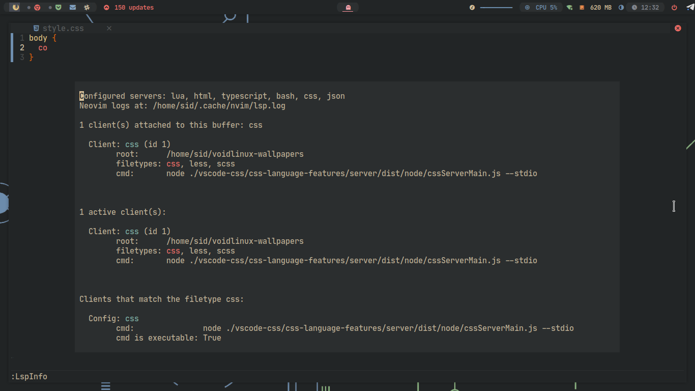 html and css lsp servers are running but no lsp completions · Issue #108 · kabouzeid/nvim ...