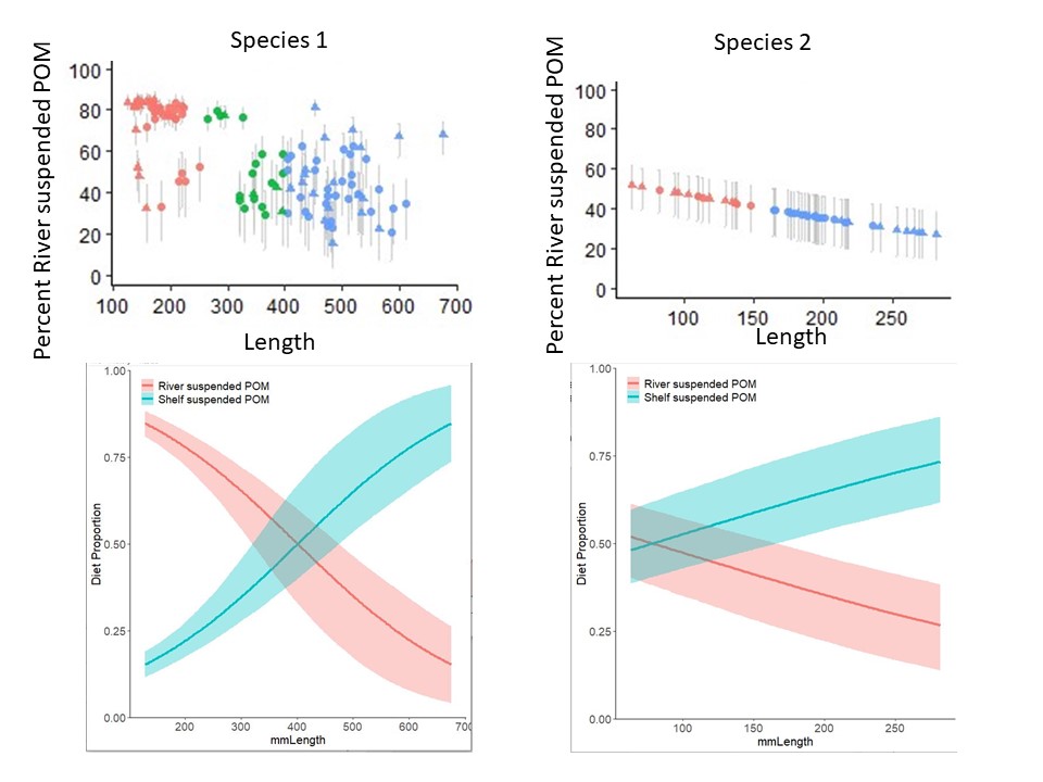 p.ind and extracting continuous variable output · Issue #195 · brianstock/MixSIAR · GitHub