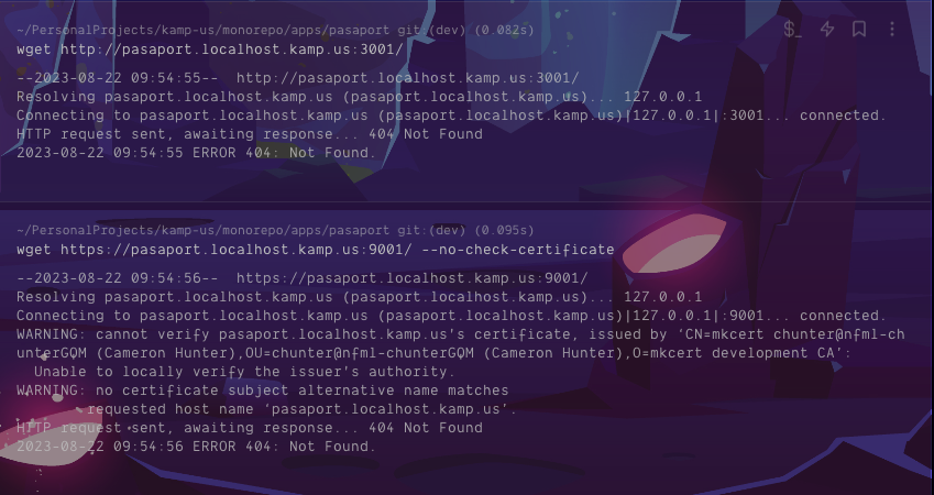 feat: boot all development servers with SSL by default · Issue #685 ...