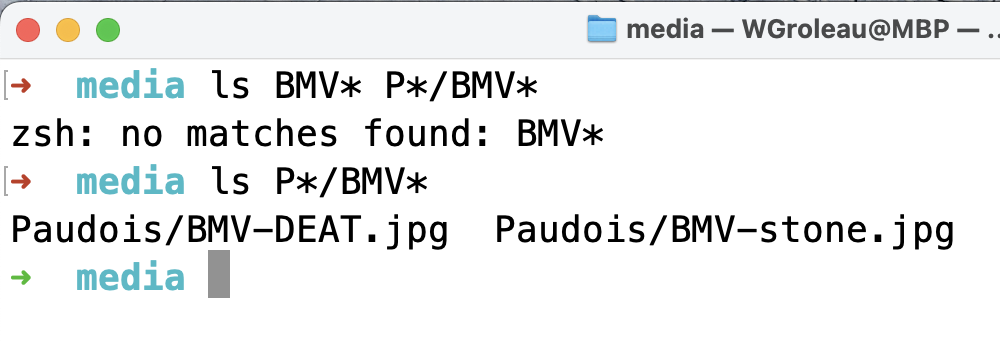 When globbing is used twice, "no match" in one can prevent the other from working · Issue #10932 ...