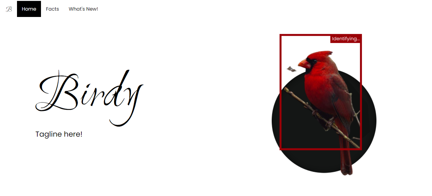 GitHub - shubh-p/Birdy_FrontEnd