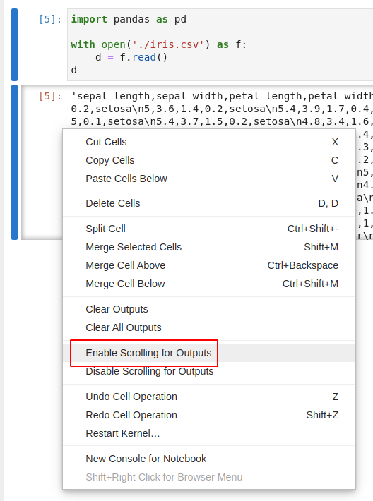Retrolab vs classic notebook - long string outputs · Issue #2990 · berkeley-dsep-infra/datahub ...