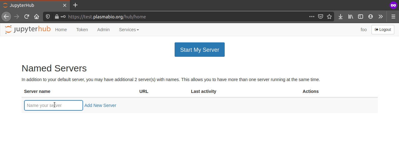 Traefik and named servers · Issue #8 · plasmabio/plasma · GitHub