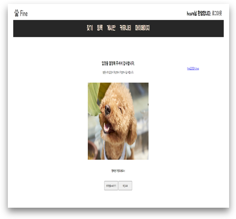 GitHub - HyeonBongJeong/fine: :dog: 유기견 찾기 입양 JAVA PROJECT