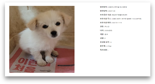 GitHub - HyeonBongJeong/fine: :dog: 유기견 찾기 입양 JAVA PROJECT