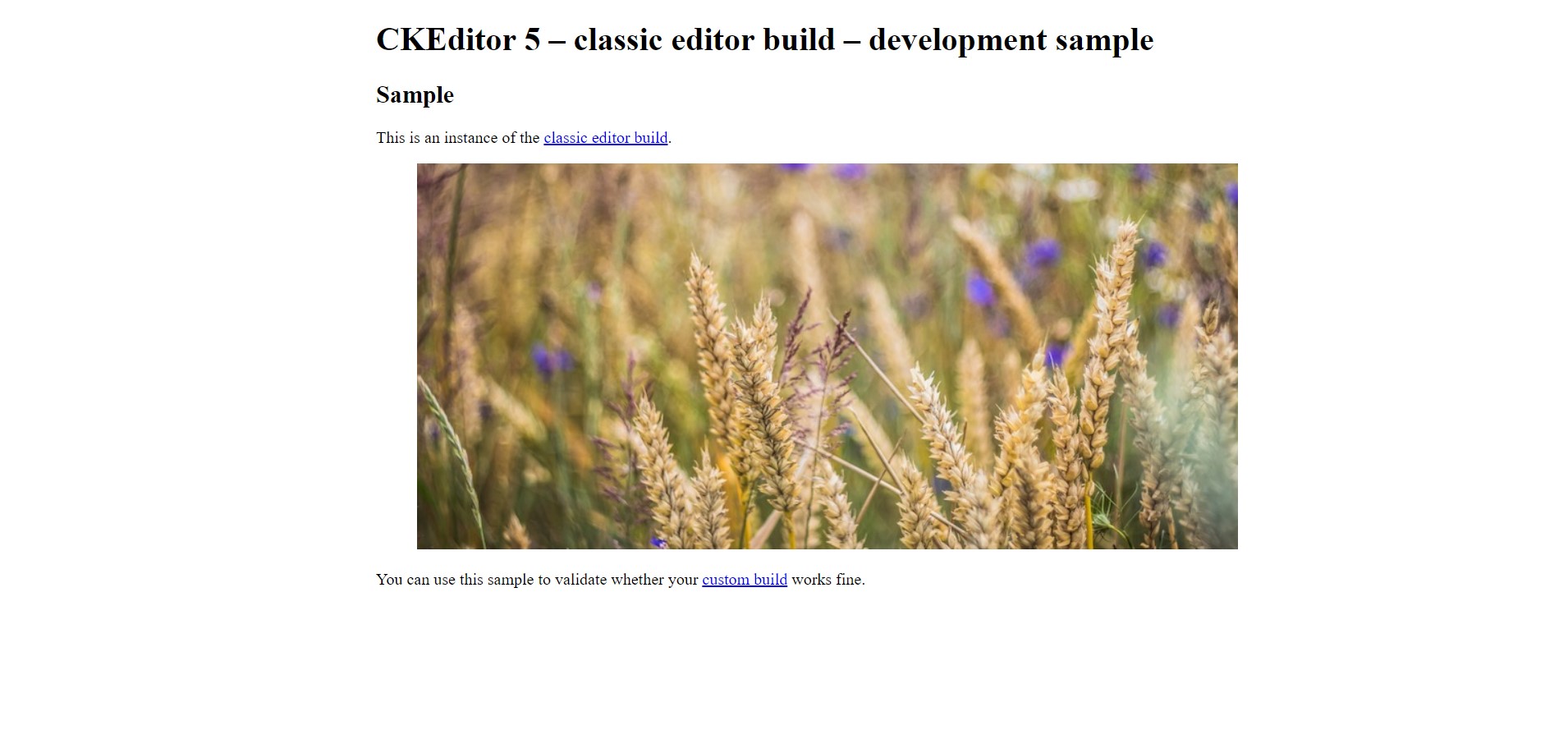steps for installing ckeditor with mathtype in vuejs · Issue #126 · ckeditor/ckeditor5-vue · GitHub
