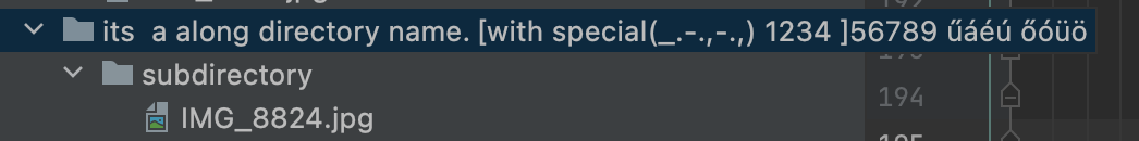 The directory name contains the "[" character, which causes the directory to not recurse to the ...