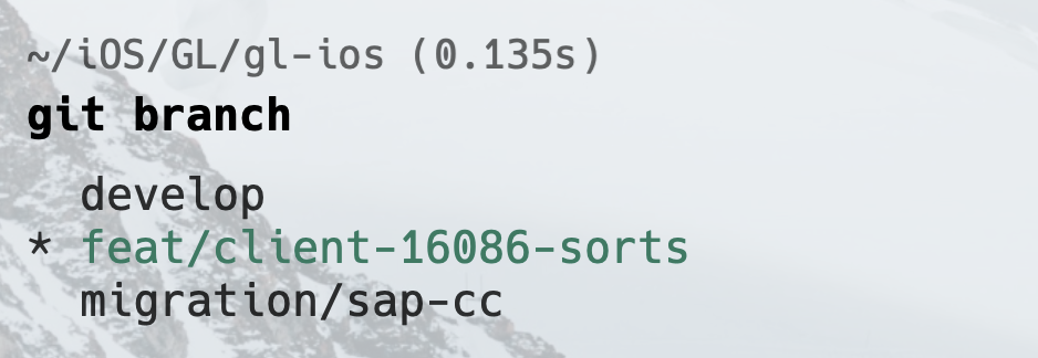 Can't see my current git branch in my prompt · Issue #3229 · warpdotdev/Warp · GitHub