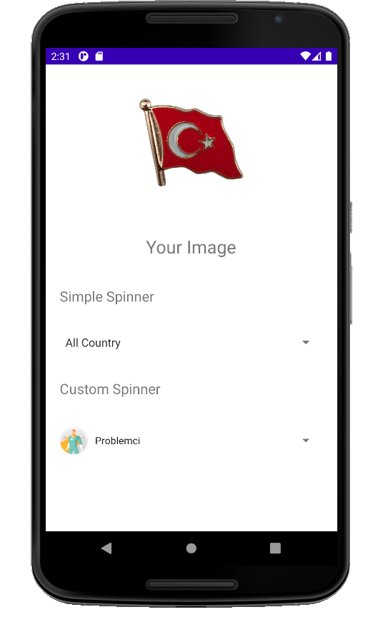 GitHub - dogusipeksac/custom_and_simple_spinnerKT