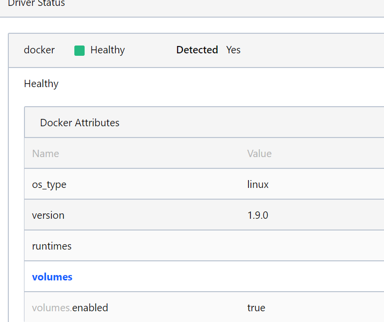 Nomad docker driver fails with failed to create container: API error (422): (Validation) Invalid ...