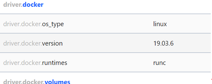Nomad docker driver fails with failed to create container: API error (422): (Validation) Invalid ...