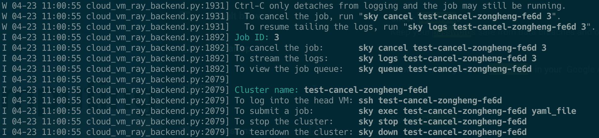 [UX] The hint for ctrl-c the `sky logs` should be more clear · Issue #756 · skypilot-org ...