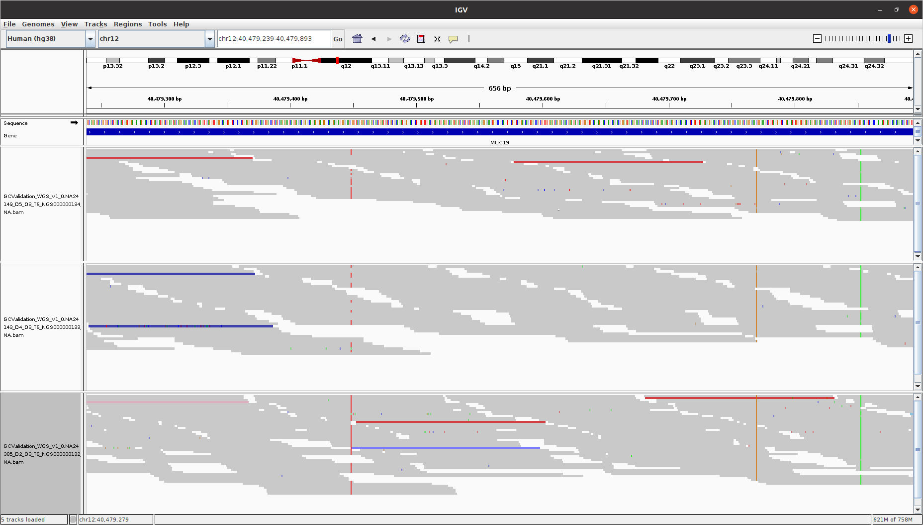 Snapshots are truncated at the bottom · Issue #974 · igvteam/igv · GitHub