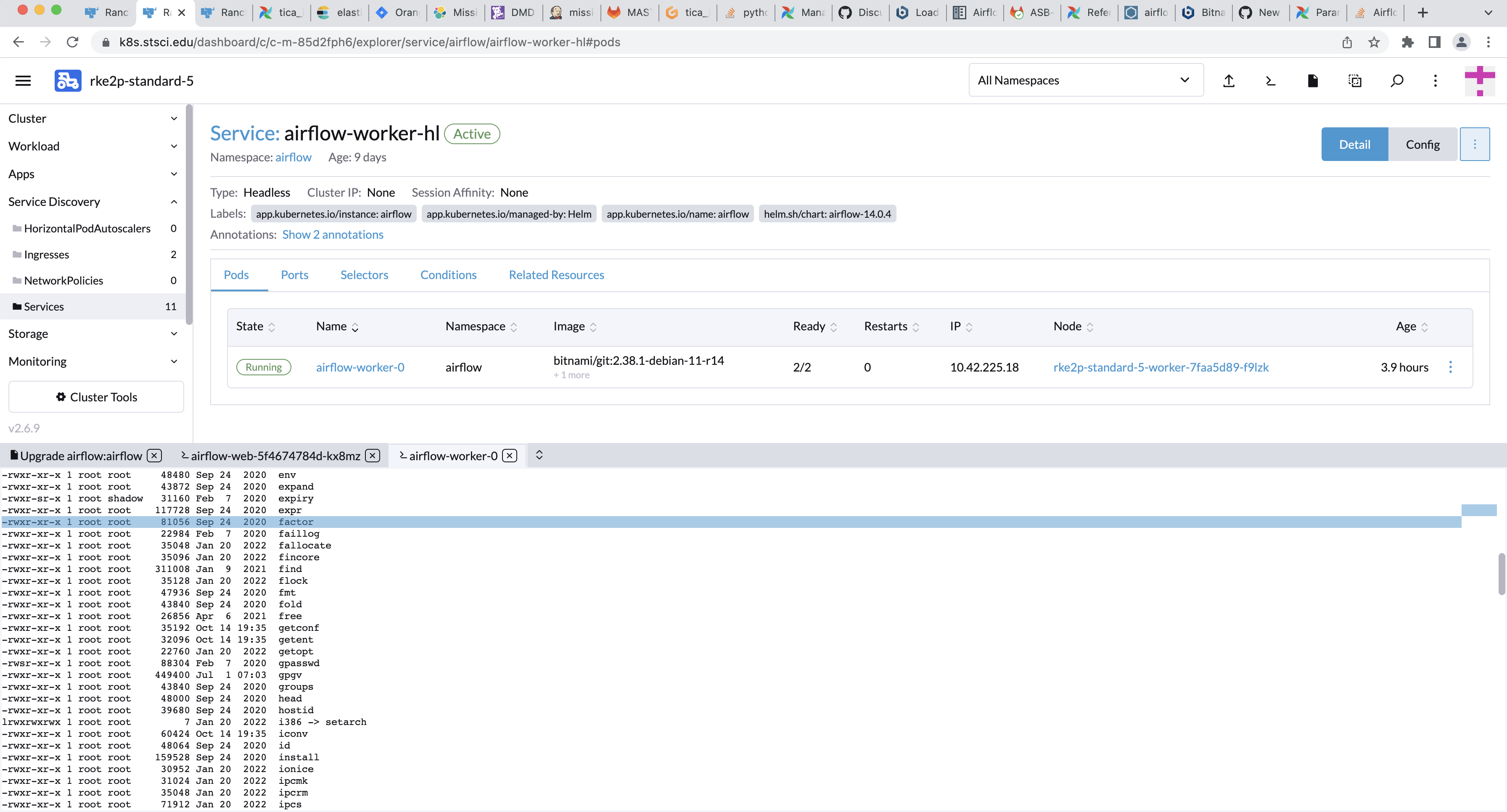 [bitnami/airflow] worker doesn't have git command · Issue #13984 · bitnami/charts · GitHub