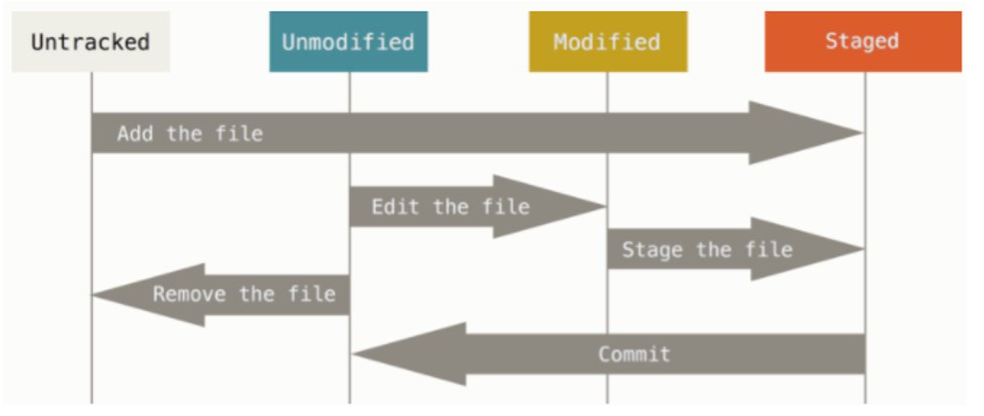 GitHub - inFumumVerti/gitPresentation: This is a basic introduction ...