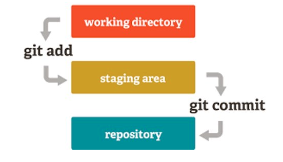 GitHub - inFumumVerti/gitPresentation: This is a basic introduction ...