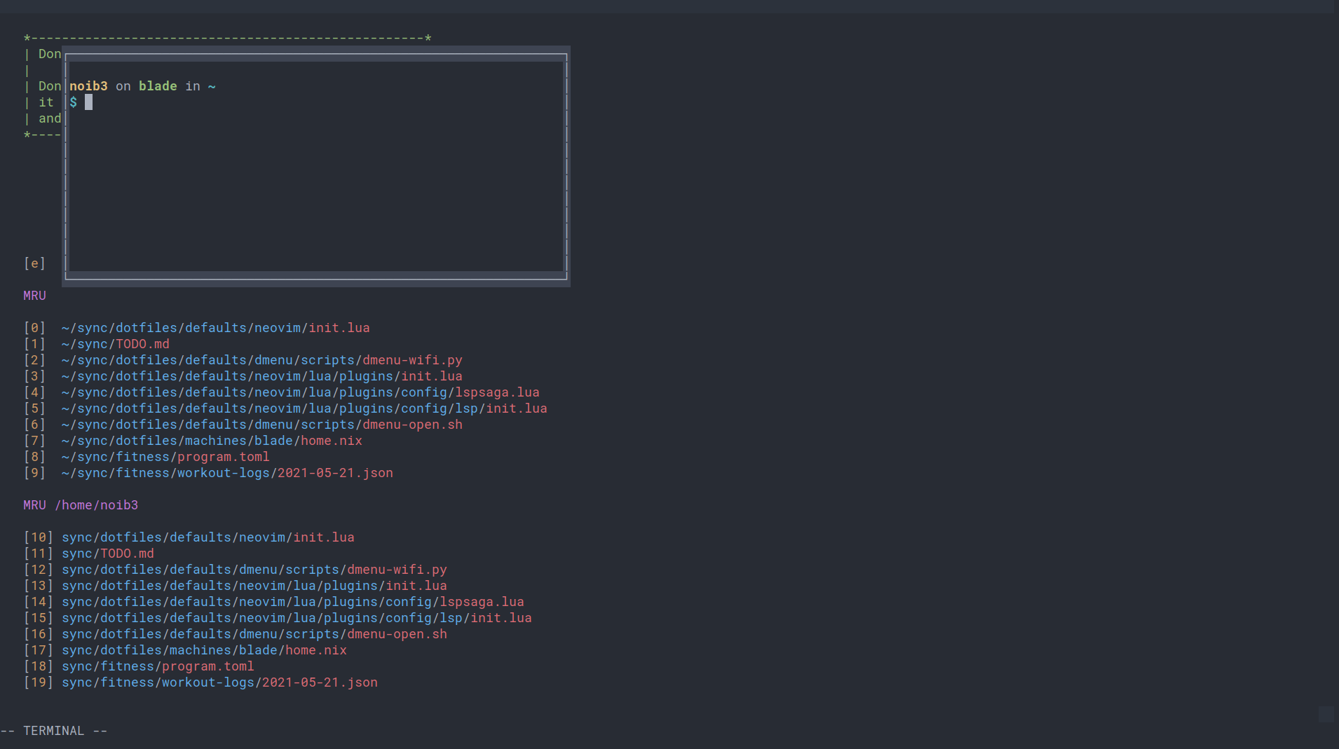 Automatically resizing floating terminal on `VimResized` event · Issue #296 · voldikss/vim ...